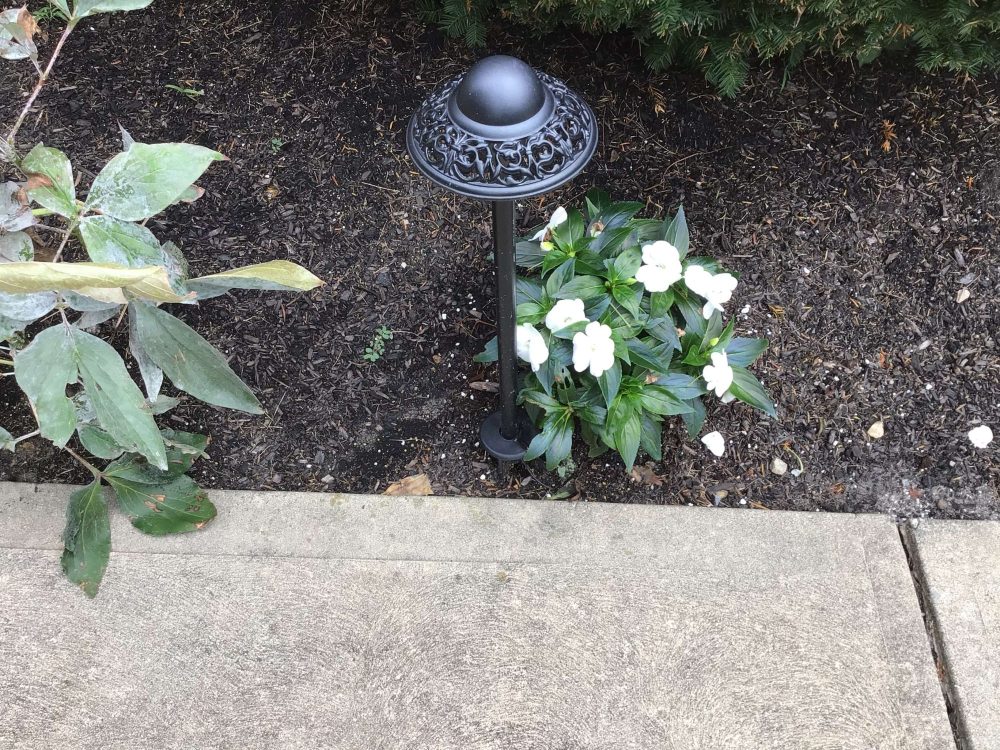 Essential Steps for Successful Outdoor Lighting Installation